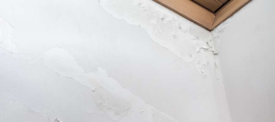 How to hide wall defects — جعفر شوب