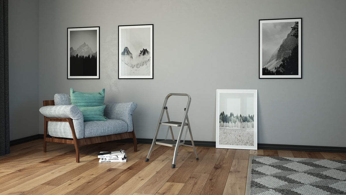 Colombo Factotum 2 Step Ladder - Silver — جعفر شوب